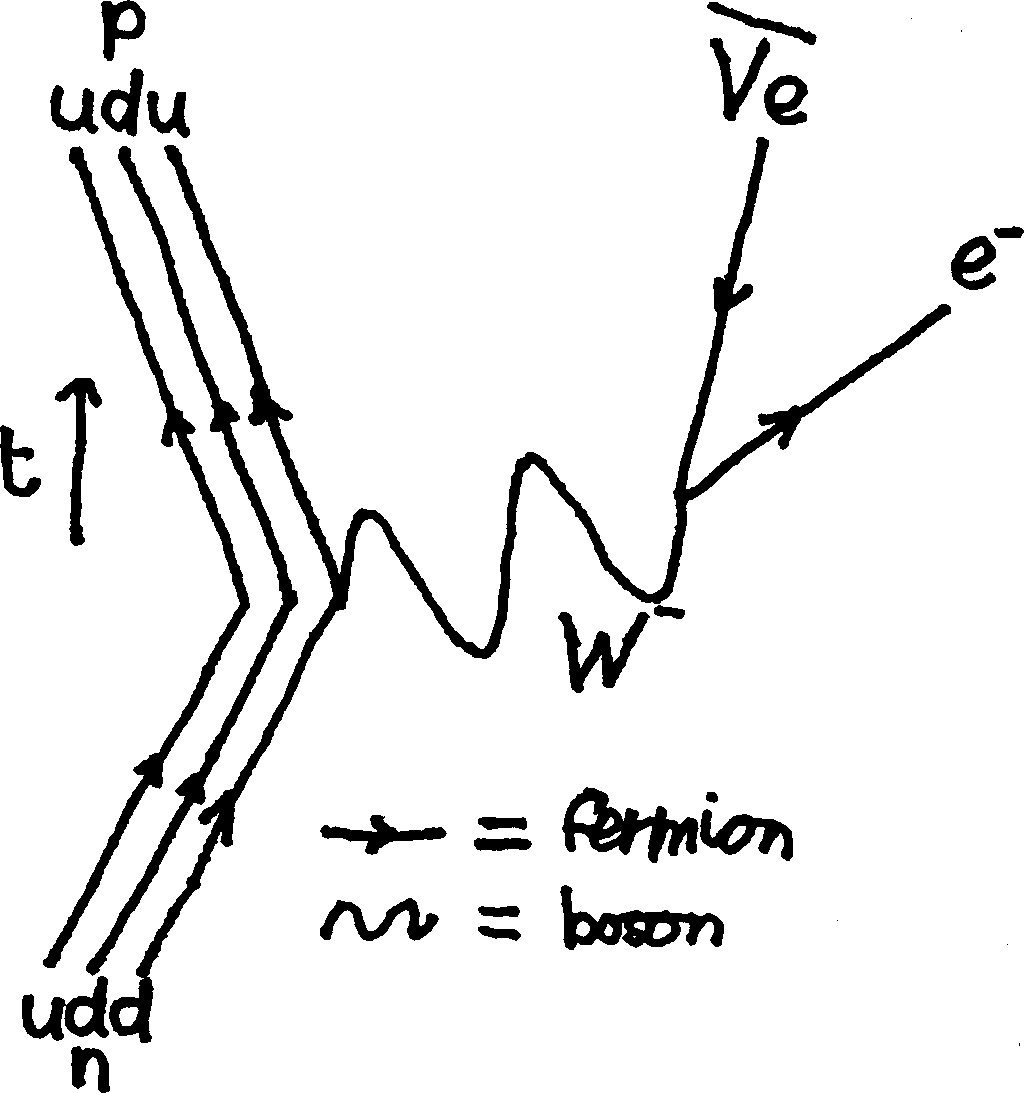 Beta Decay Feynman Diagram